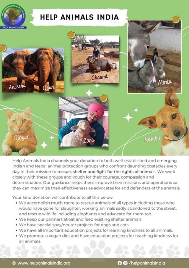 Helping Animals in the Footsteps of the Buddha : Northwest Dharma ...